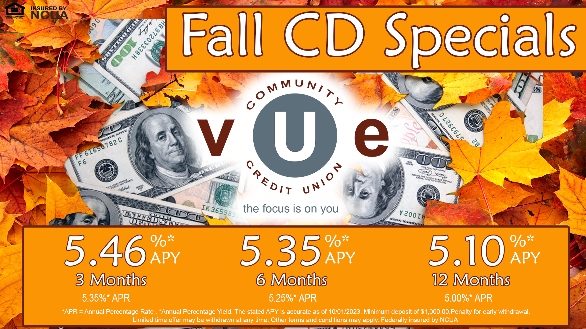 Fall CD Specials | Vue CCU
